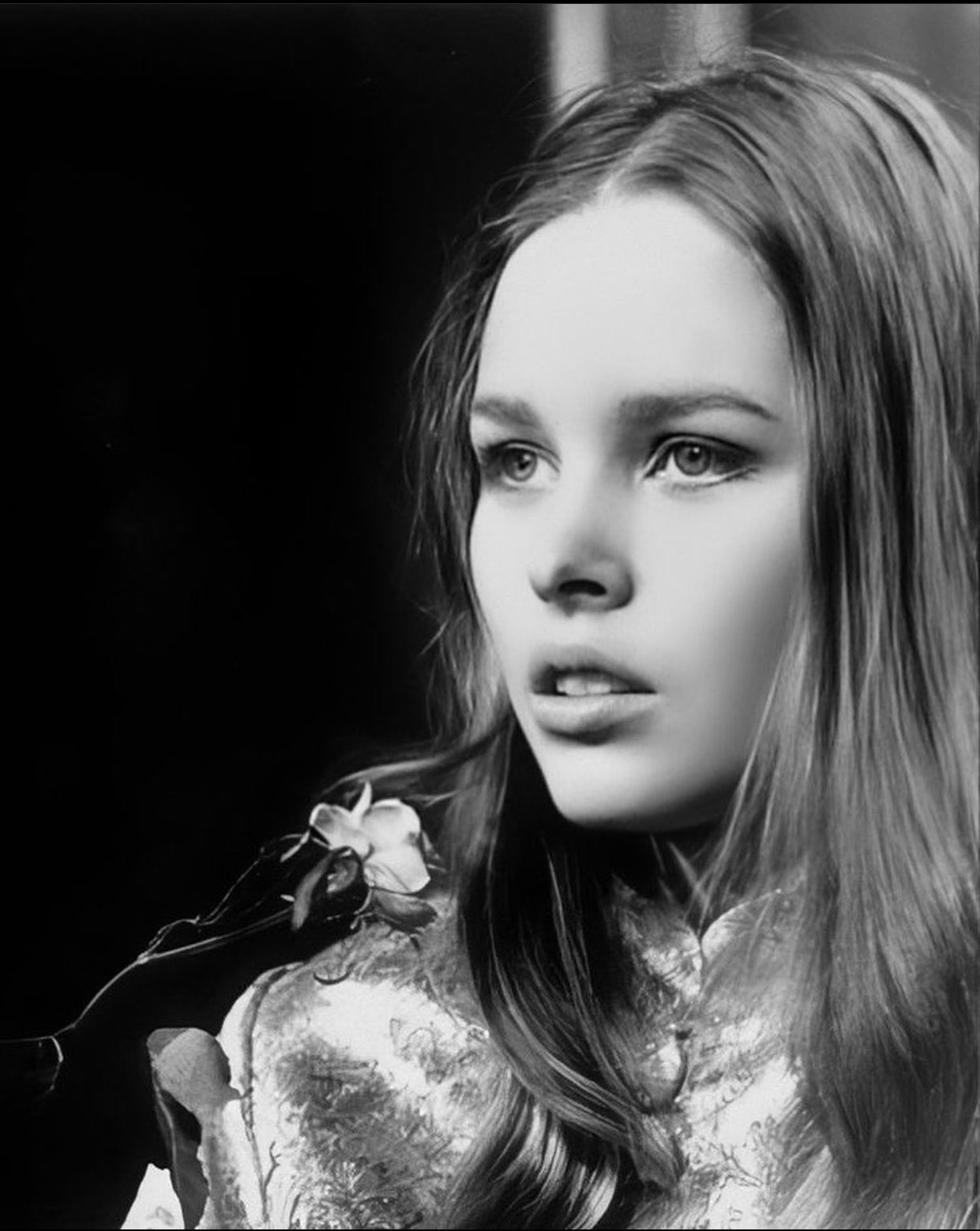 Michelle Phillips Young