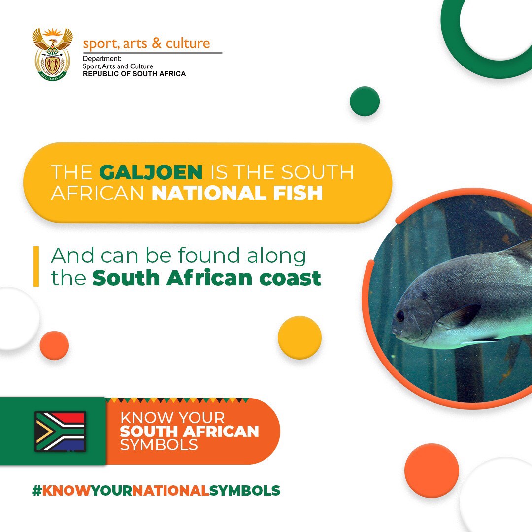 South African National Fish
