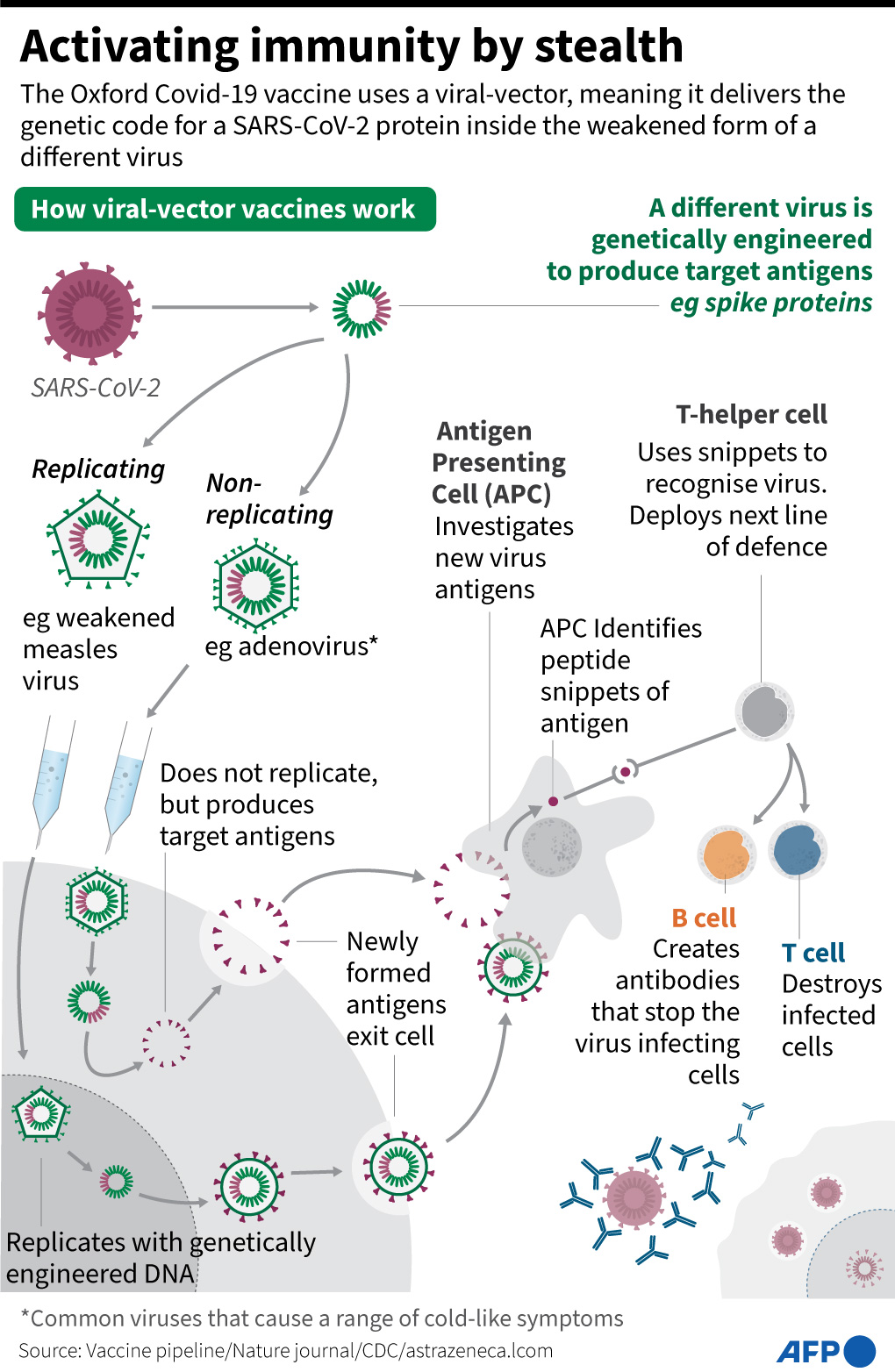 Astrazeneca Logo Vector