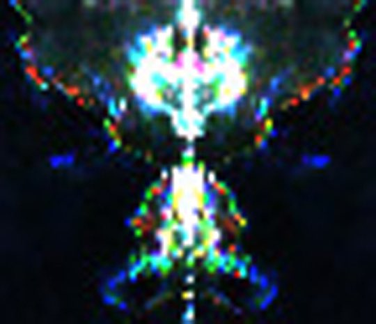 Interdimensional Beings