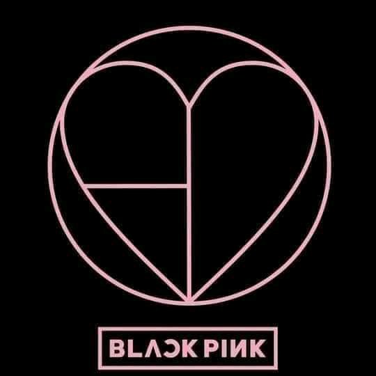 Blackpink Logo BlackPink Merch Shut Down BORN PINK T Shirt Tee New