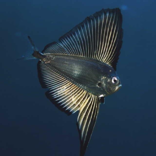 Melissa Cristina Márquez @mcmsharksxx Timeline, The Visualized Twitter ...