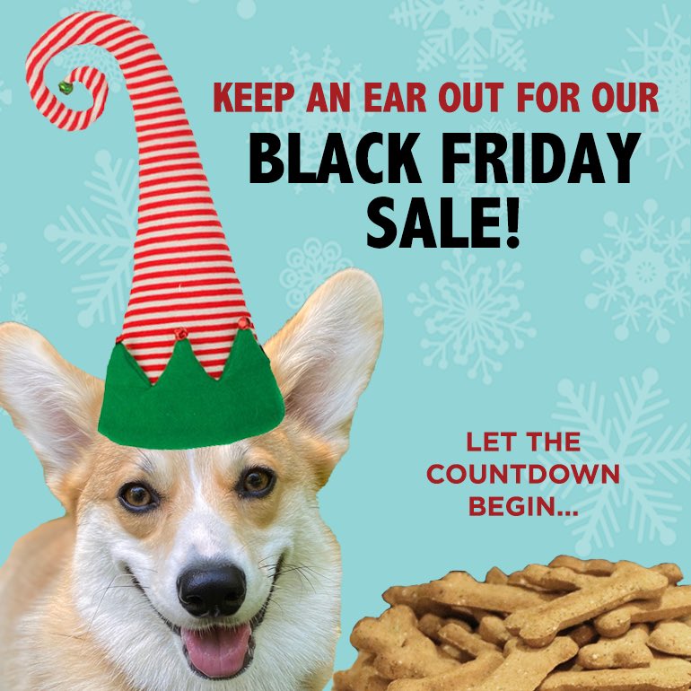 Old Dog Cookie (@OldDogCookie) / Posts / X