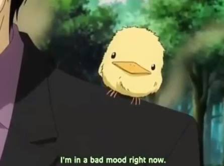 Hibari Kyoya And Hibird