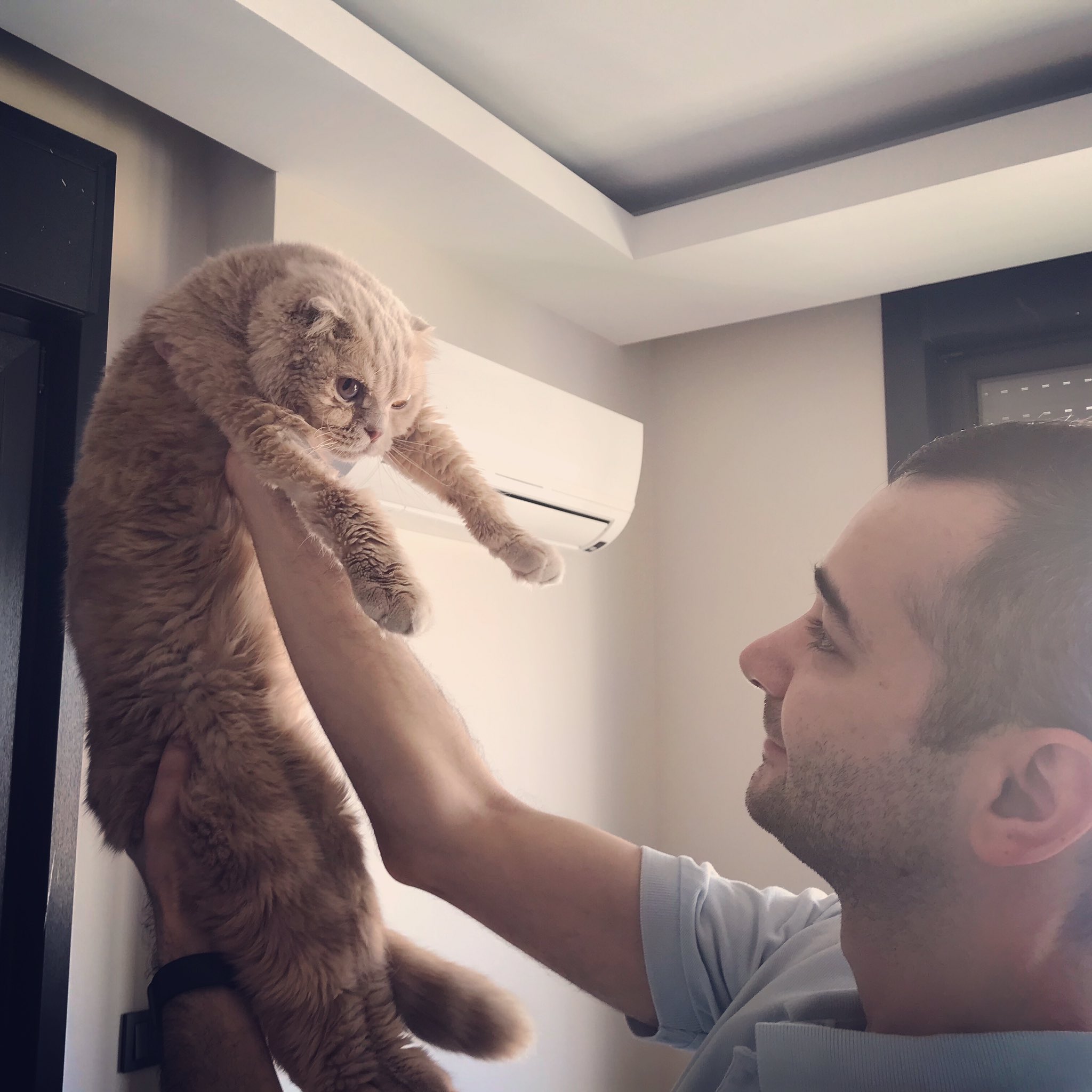 Sefik Ilkin Serengil on Twitter: Sefik Ilkin Serengil on Twitter: