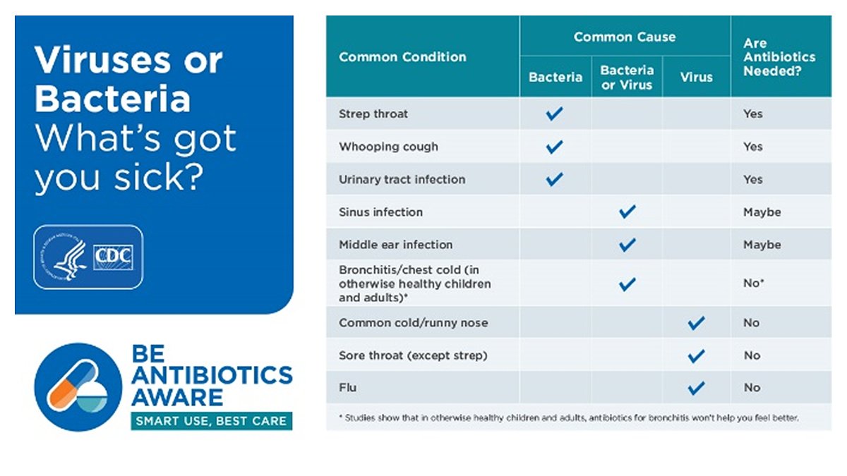 Common Cold Bacteria