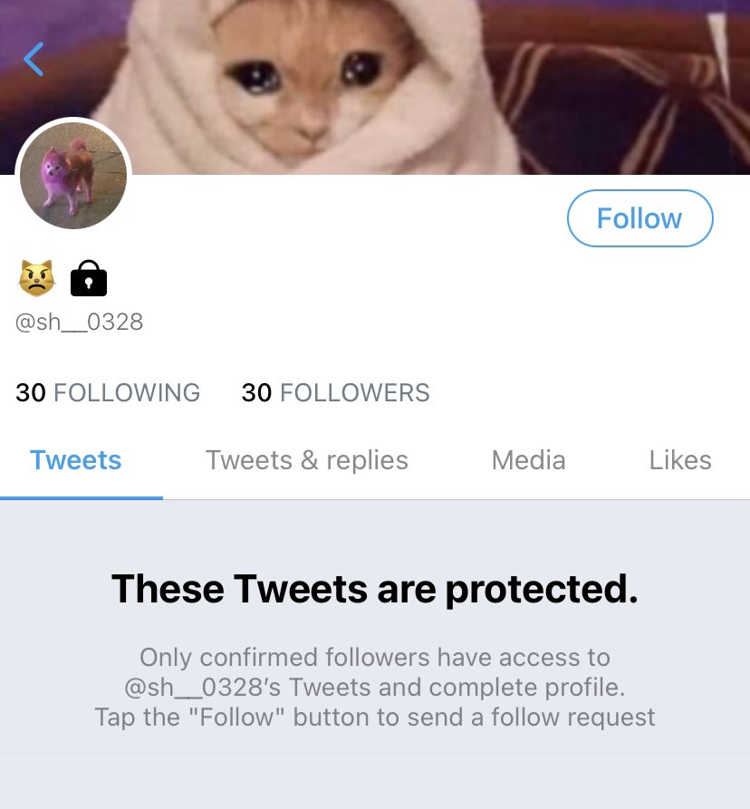 👒 on Twitter: "006 https://t.co/64uW02FJOx" / Twitter