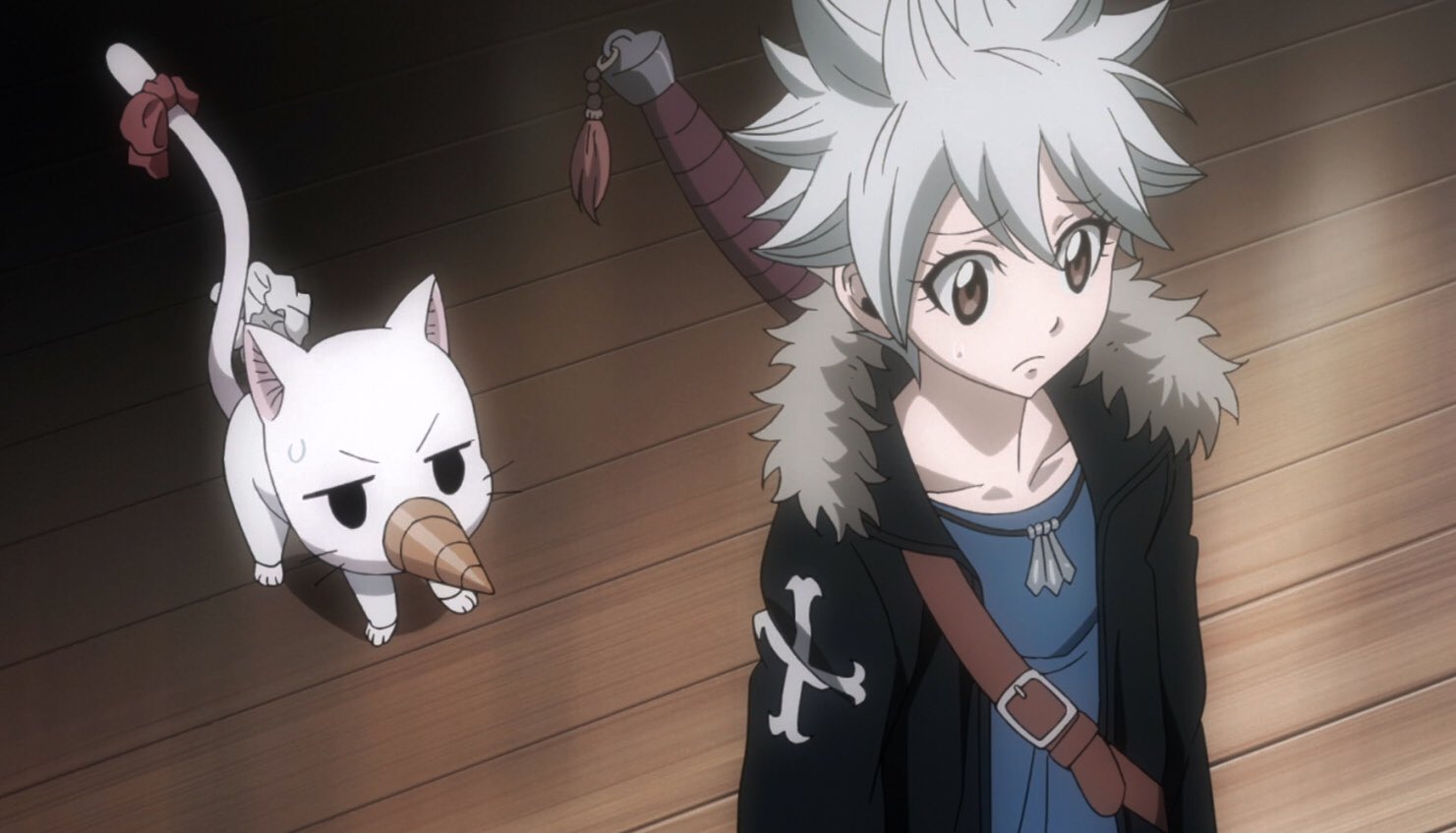 Fairy Tail Plue Rave Master