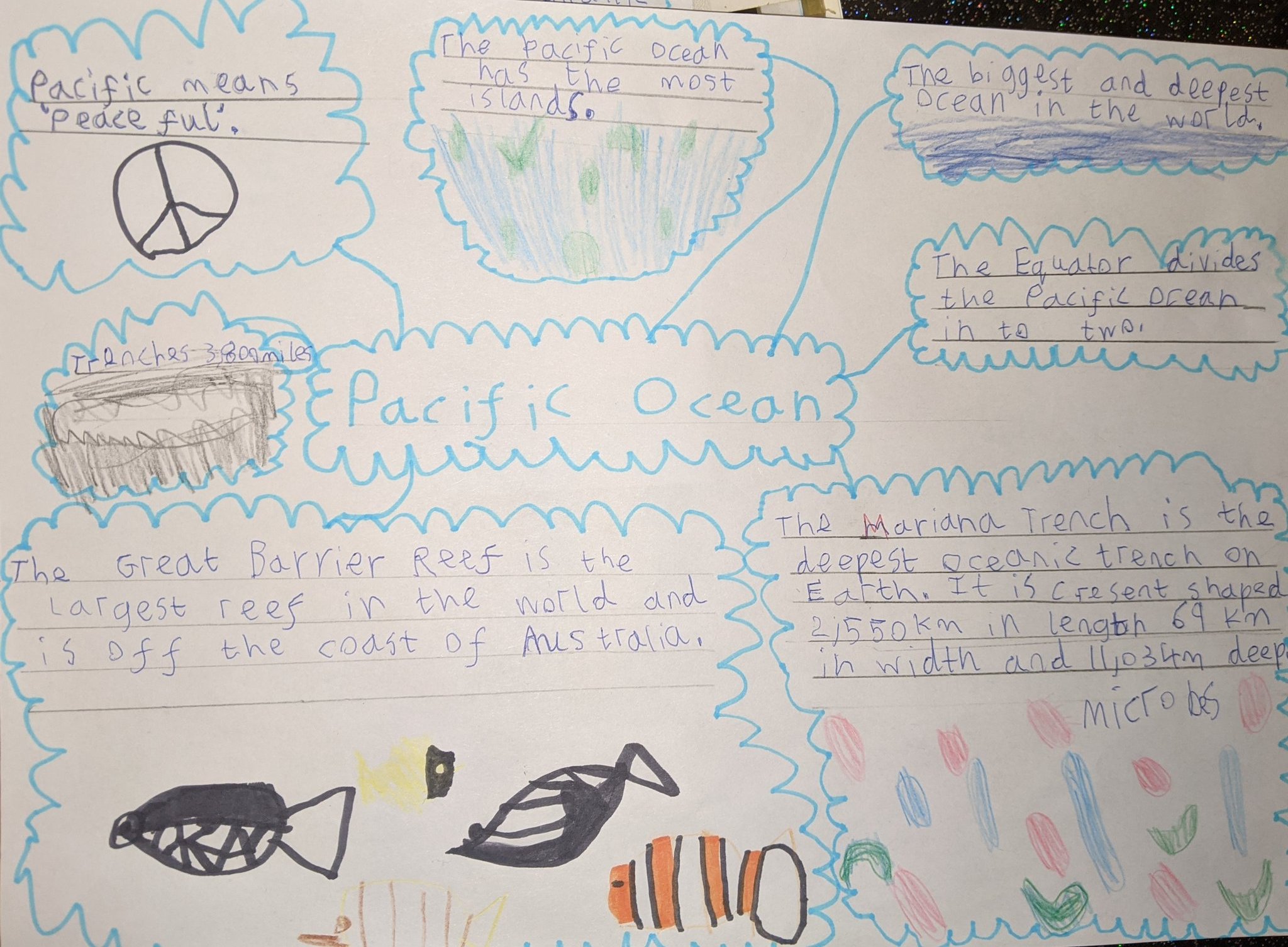 Adam on Twitter: "Pacific Ocean…