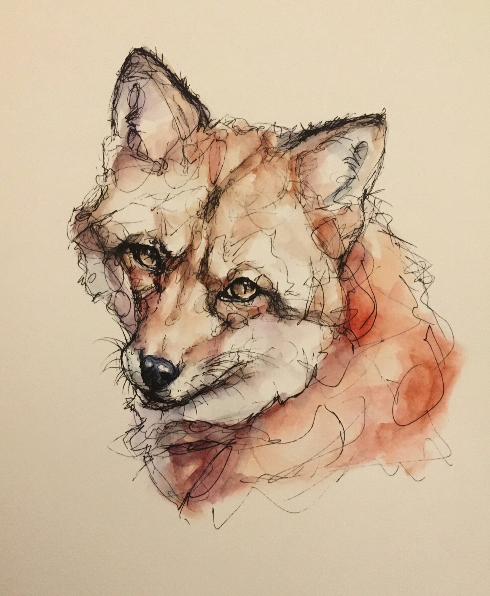 Fox Face Drawing Tumblr