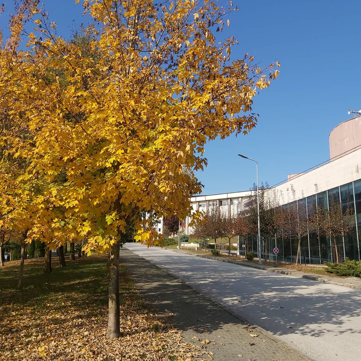 Nurdan Aydın (@aydin_nurdann) | Twitter