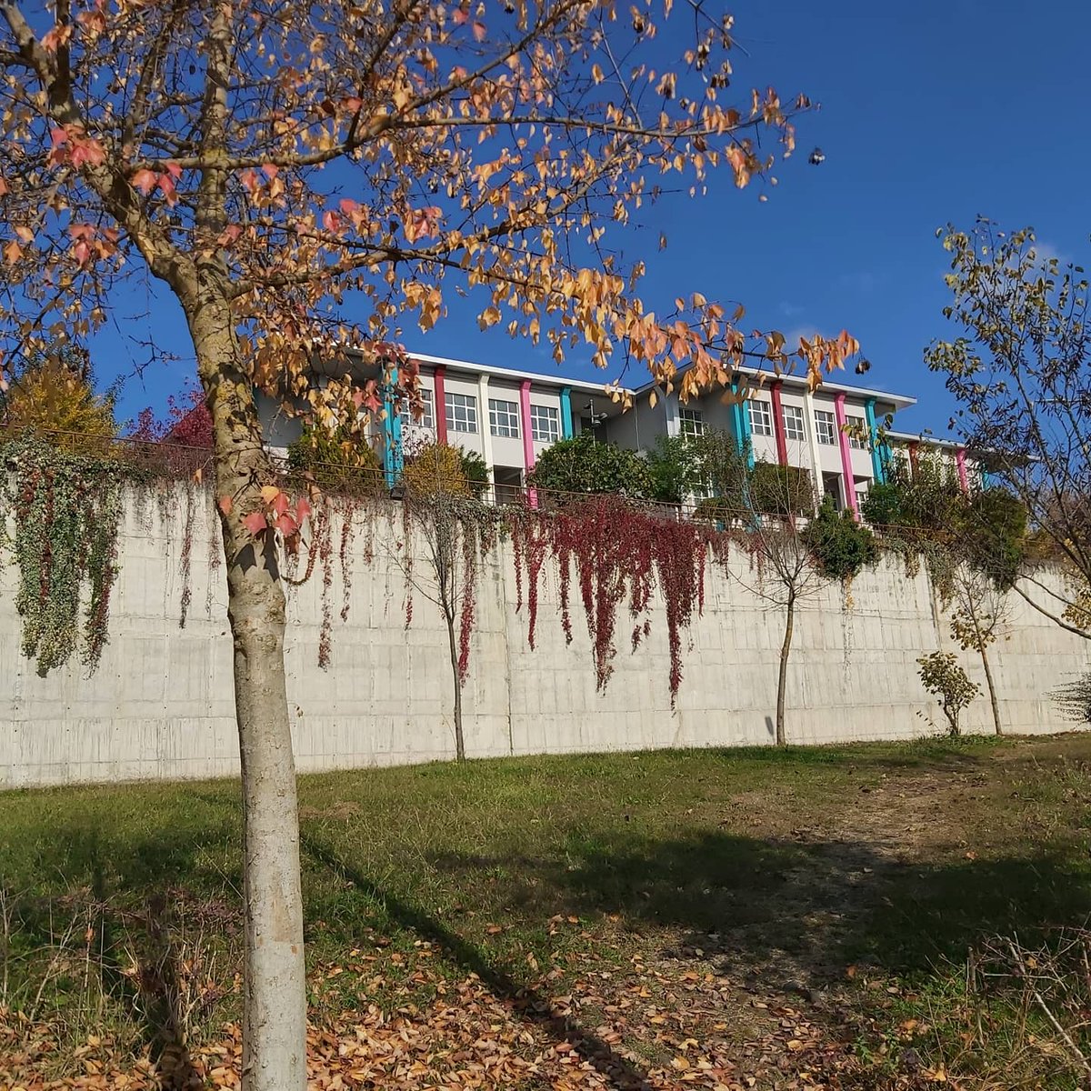 Nurdan Aydın (@aydin_nurdann) | Twitter