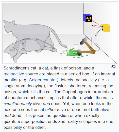 Erwin Schrodinger Cat