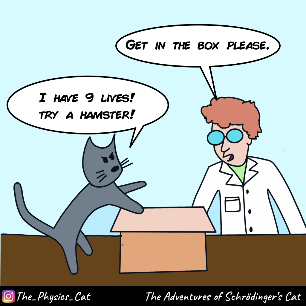 Schrodinger Experiment
