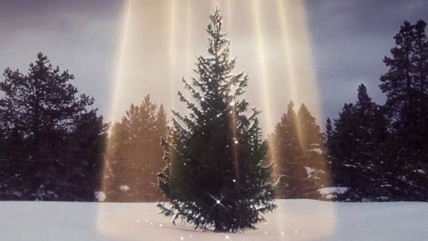 Christmas Tree Twitter Background