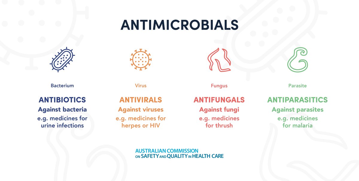 Fungi Bacteria And Viruses