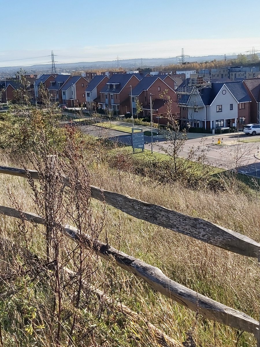 Homepage | Swanscombe and Greenhithe Town Council