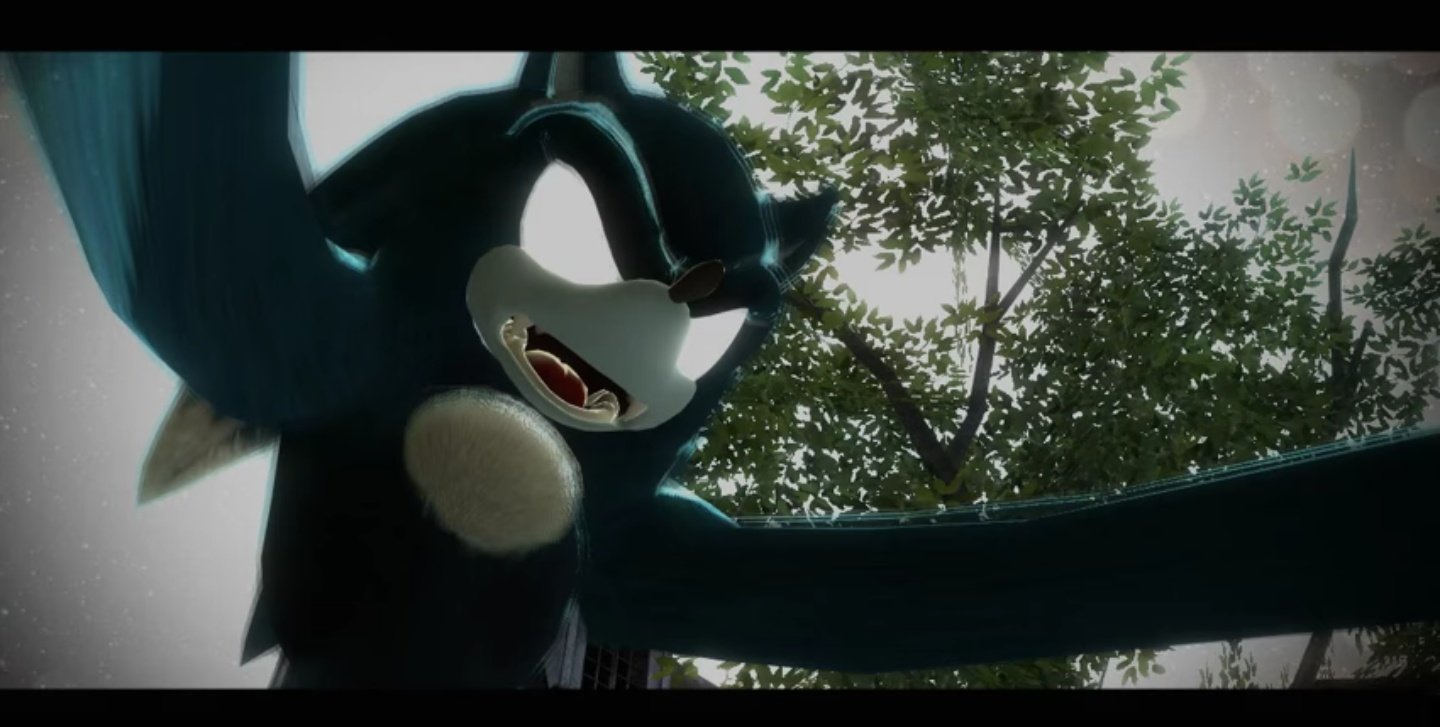 Sonic The Werehog And Shadow The Hedgehog