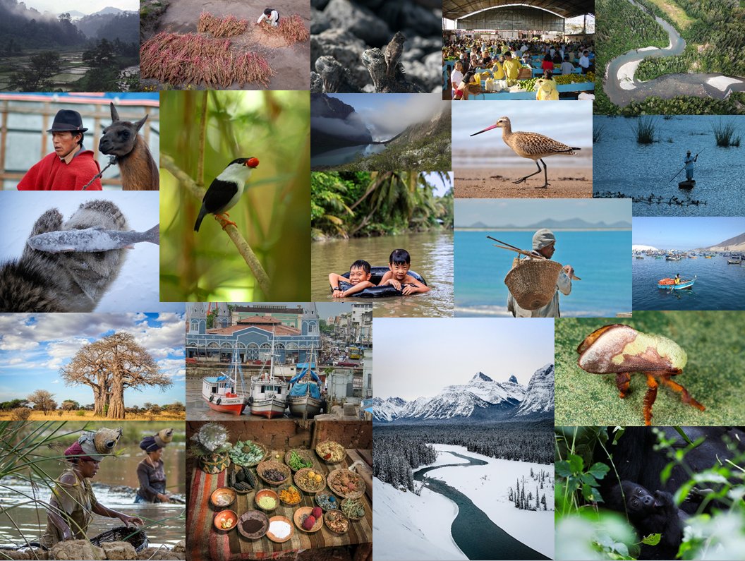Collage On Conservation Of Natural Resources