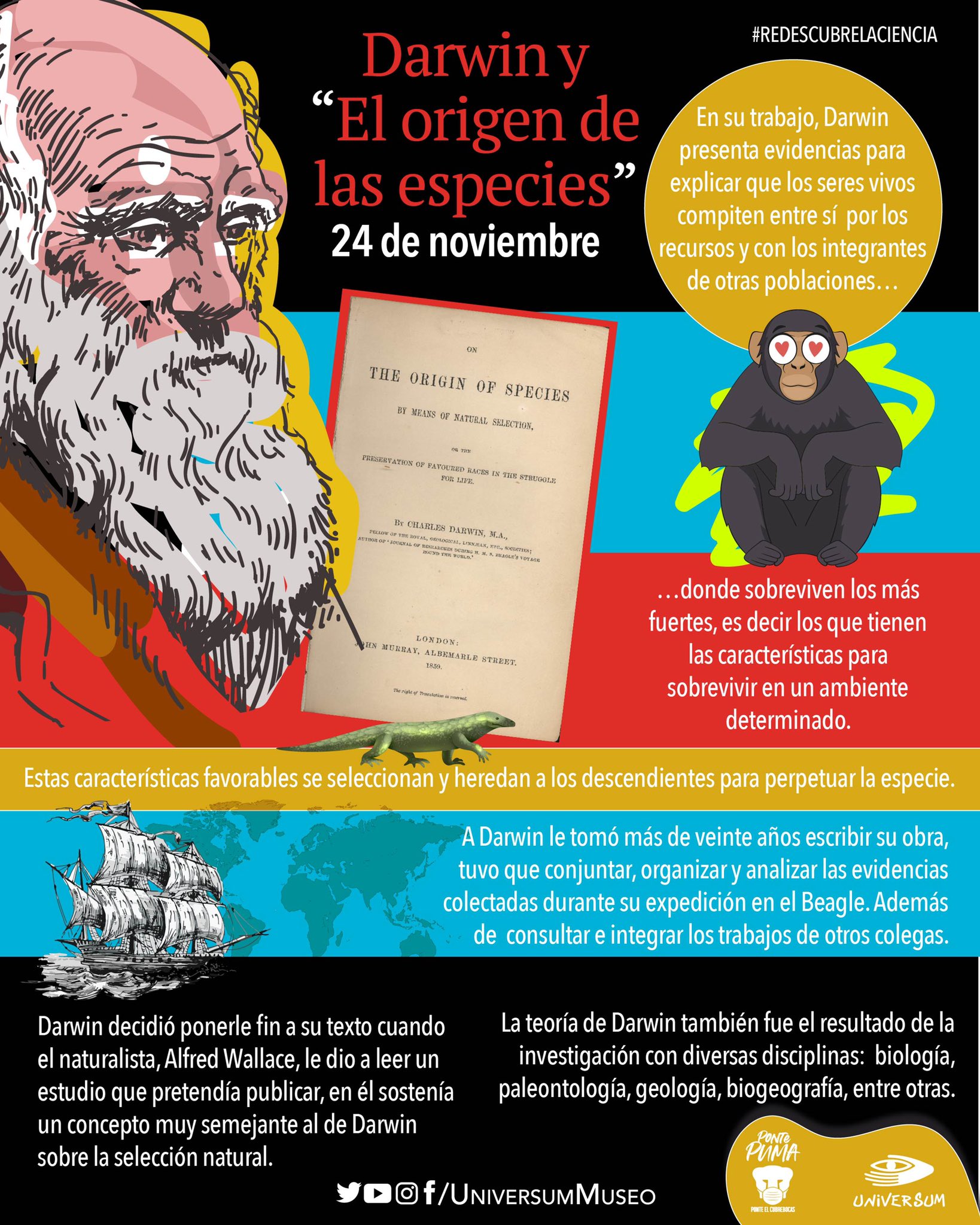 Increíble ventilador Cierto la teoria del origen de las especies de ... Increíble ventilador Cierto la teoria del origen de las especies de ...