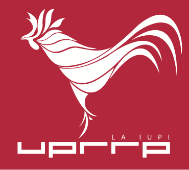 Upr Rio Piedras Logo "UPR RIO PIEDRAS" RED CAP