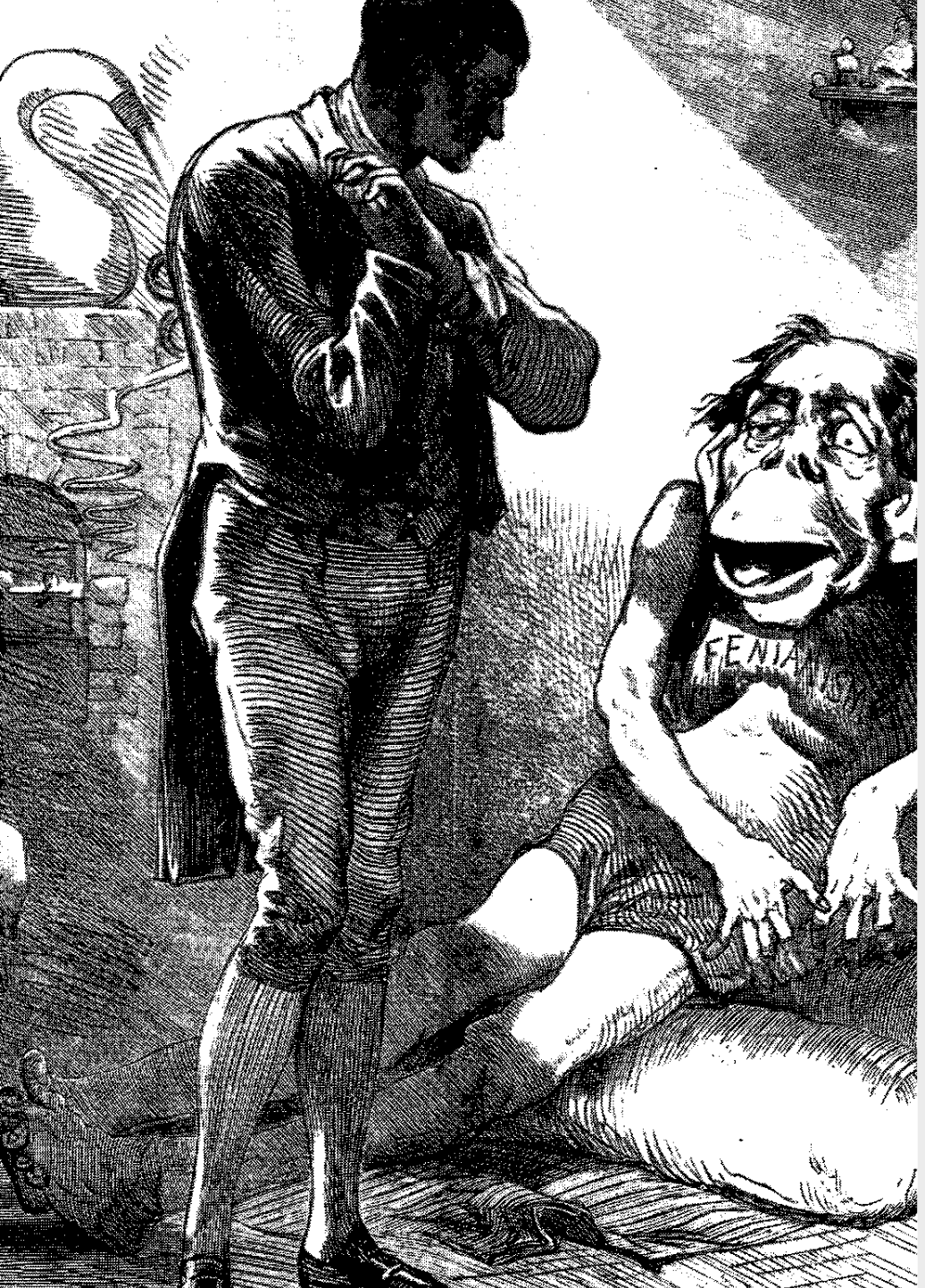 Anti Irish Cartoons English