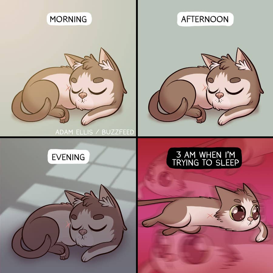 🥓 Conner Pittaway 🥓 (@PittawayConner) | Twitter