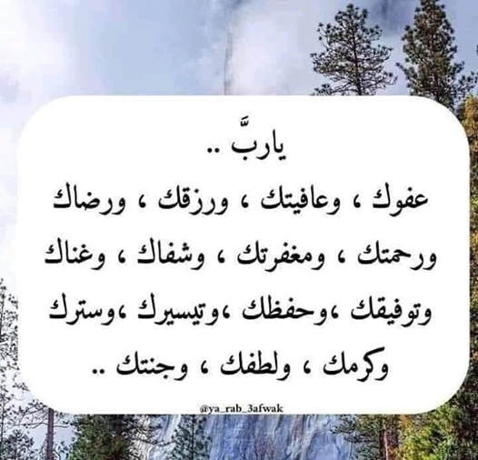 ifrah Abdullahi (@Ifrah2040) | Twitter