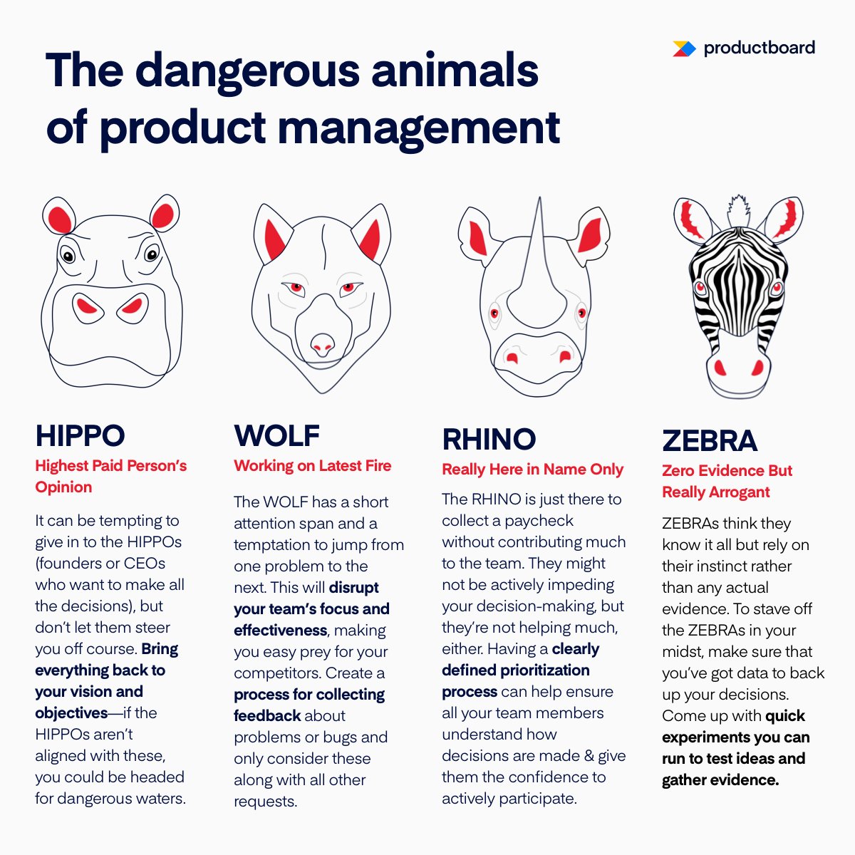 Animal Attention Spans