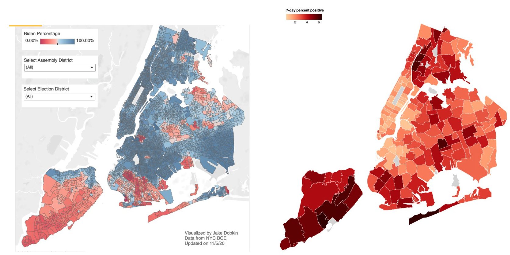 Nyc Precinct Map See Who Your NYC Neighborhood Voted For In Primary
