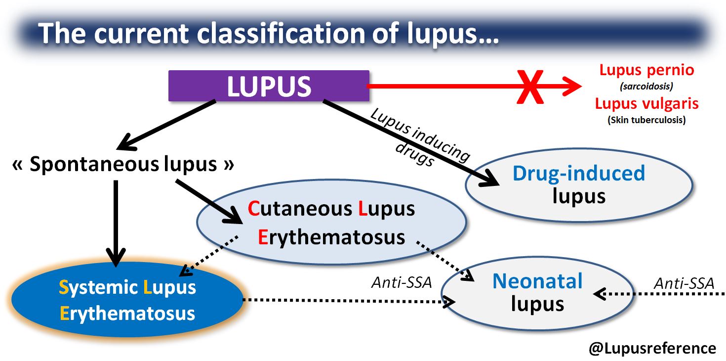 Neonatal Lupus Erythematosus