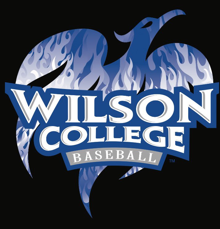 Wilson Baseball Logo