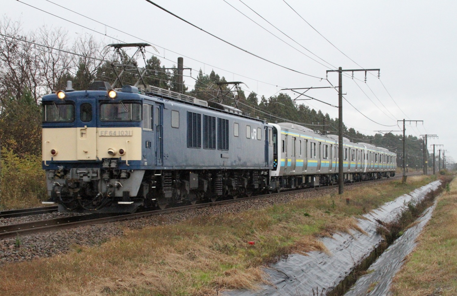 クロテツ007 on Twitter: "26日（木）、上り配給列車を撮影。E131系電車・2編成4両でR－07，R－08編成（J-TREC新津が製造）。長岡のEF64-1031牽引。信越本線 ...