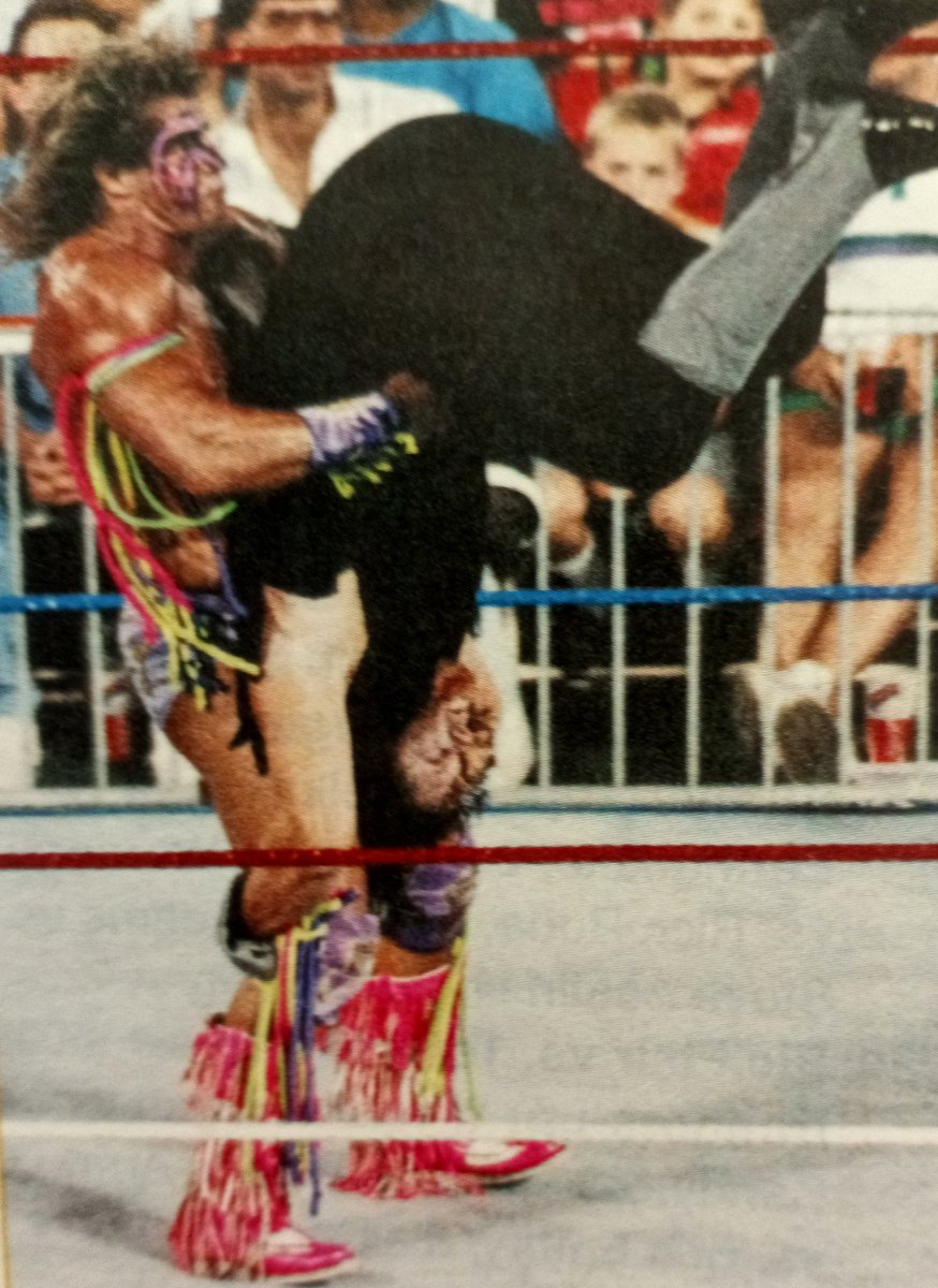 Ultimate Warrior Undertaker