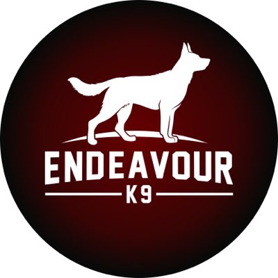 Endeavour K9 (@EndeavourK9) | Twitter