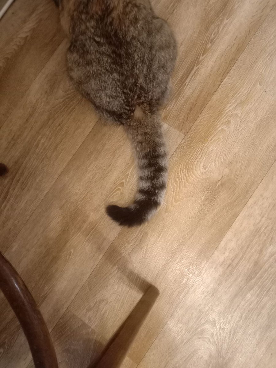 Grisha (@grigory_makhno) | Twitter