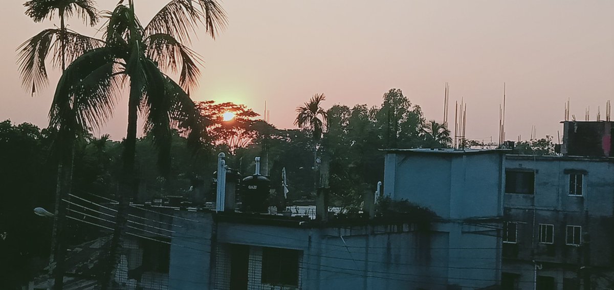 Ashrifa Alam Chaity (@AshrifaC) | Twitter