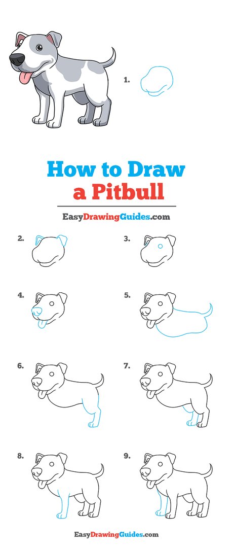How To Draw A Pitbull Step By Step