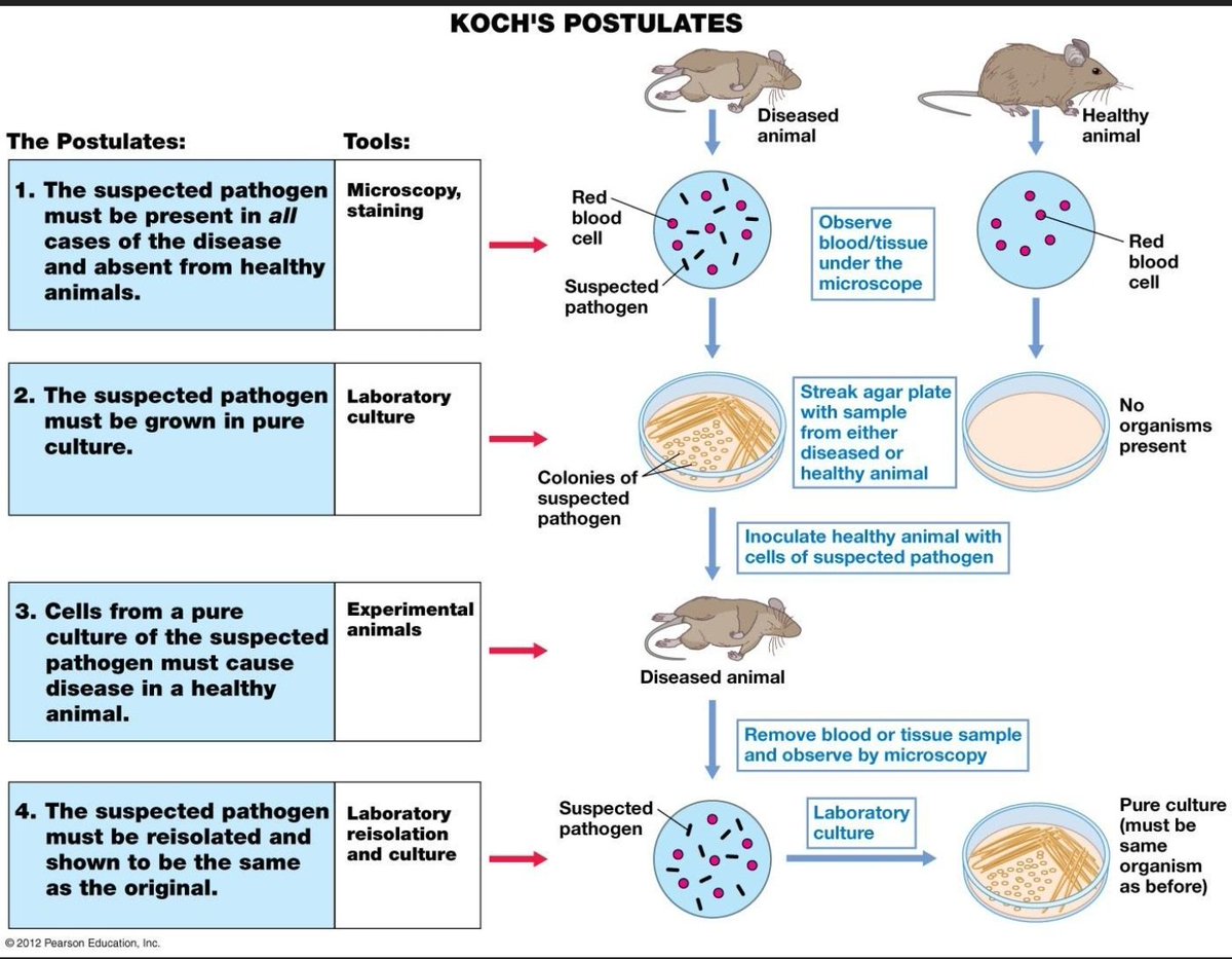 JoyceV on Twitter: "RT @Dr_JCLW: Did you know that Covid-19 does not ...