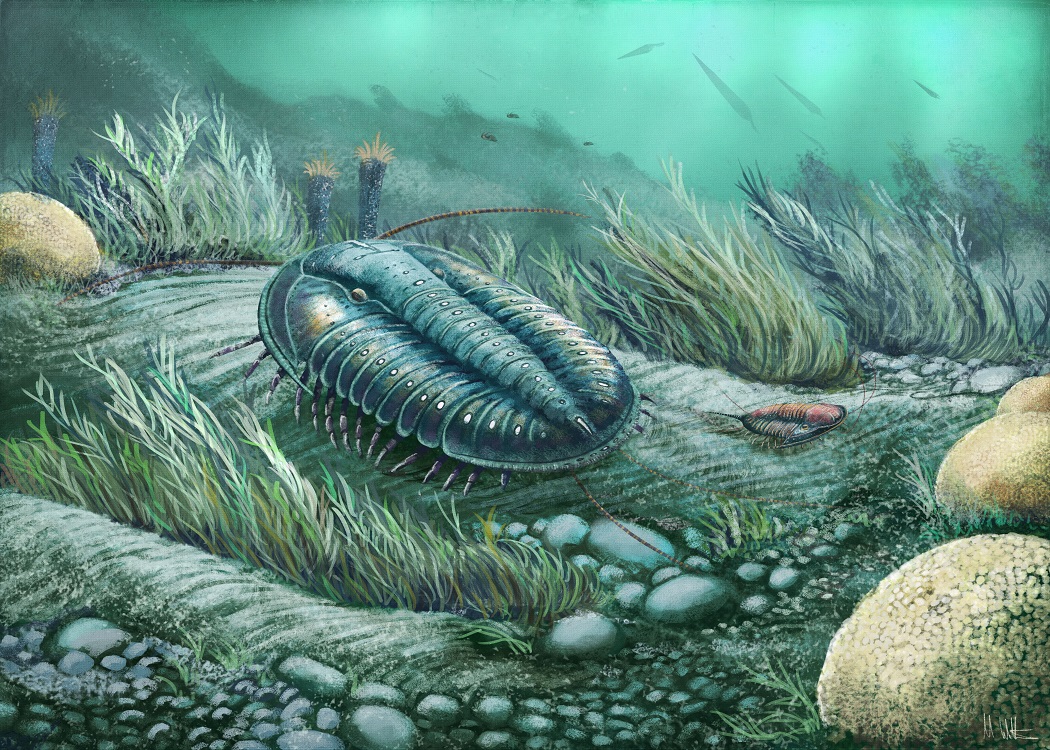 Trilobite Painting