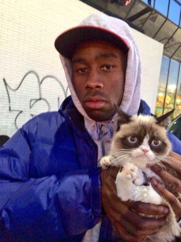 Ofwgkta Cat Wallpaper