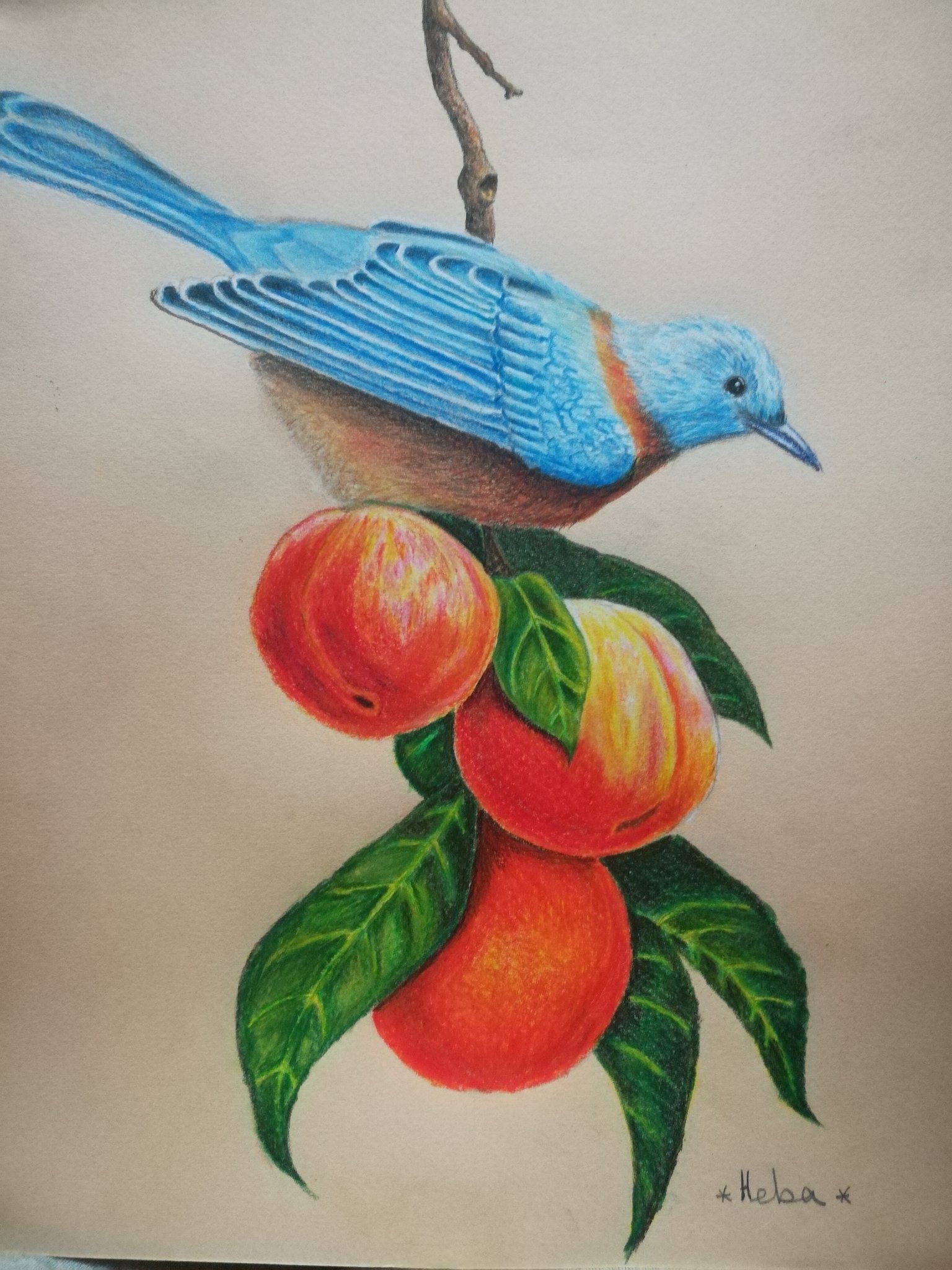 Pencil Colour Sketch Of Nature