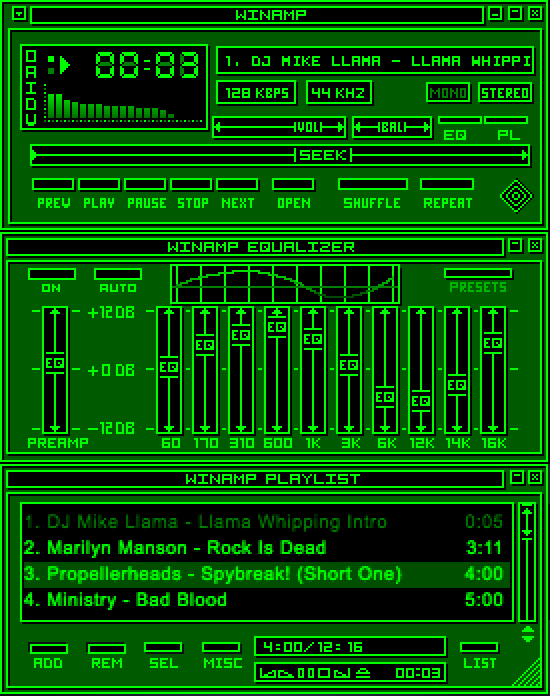 Large winamp skins - jpaceto