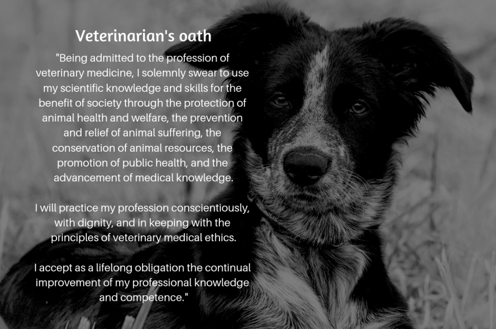 Veterinary Medicine Quotes