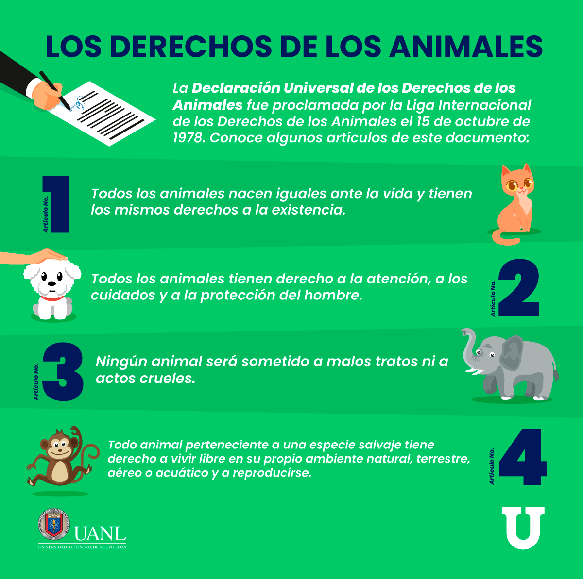 Los Animales Tienen Derechos