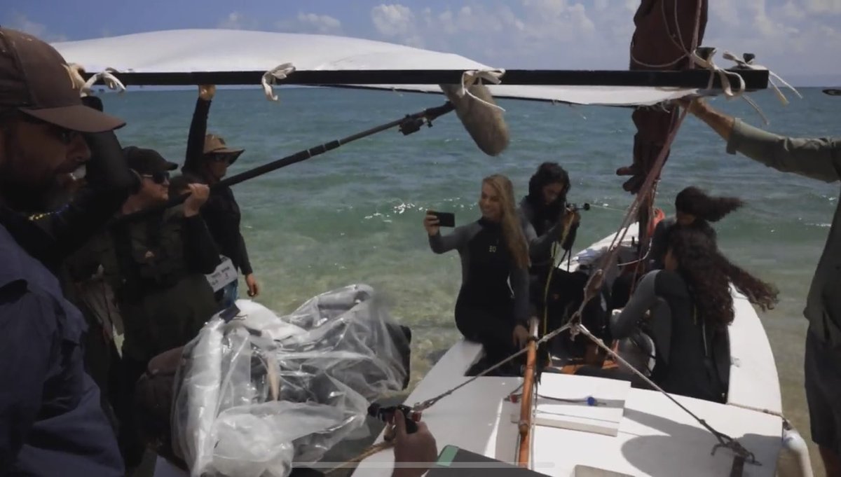 Netflix - Page 59 - Streaming - Media Spy