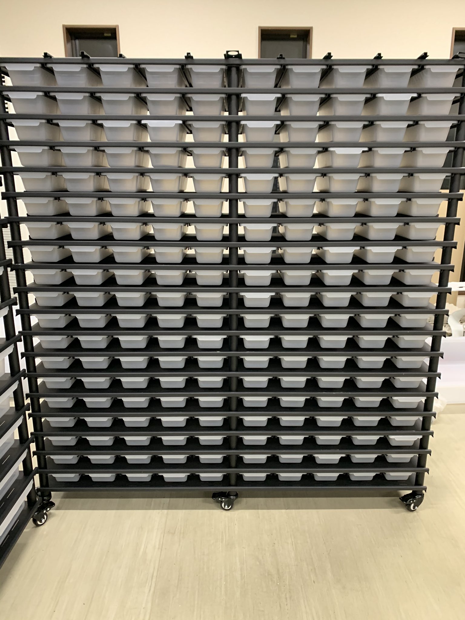 GTReptiles on X: GTReptiles on X: