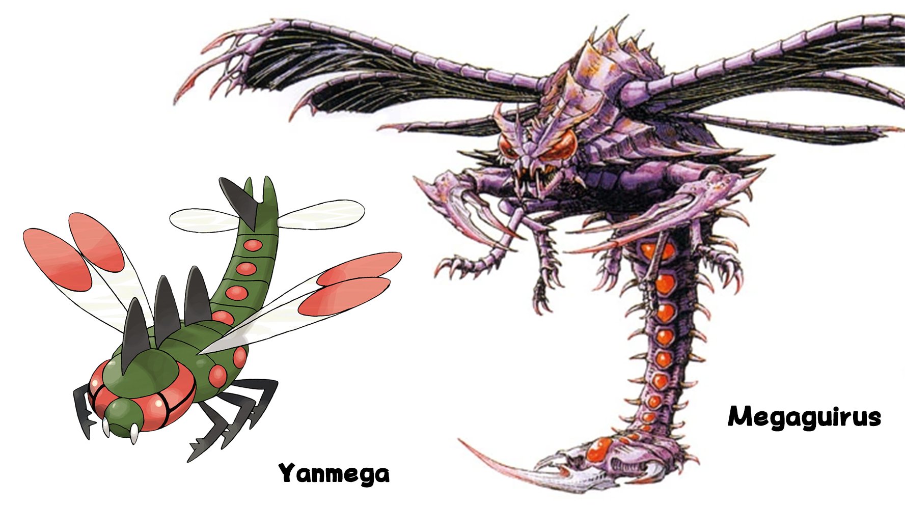 Largest Prehistoric Insect