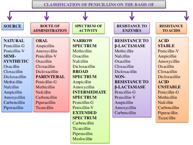 Antibiotics Classification According To Spectrum