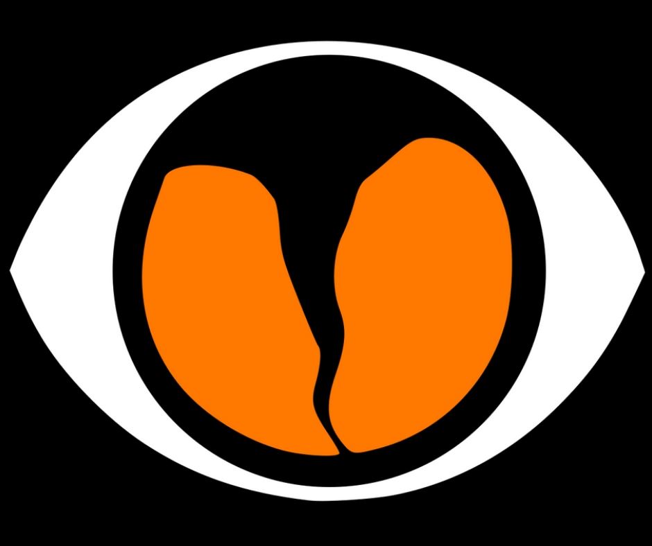 Sogn Valley SKYWARN – Keeping A Watchful Eye On Goodhue County's Weather